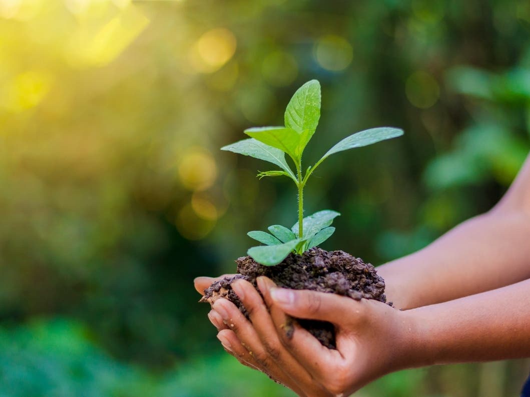 When Is The Last Frost Before Spring Gardening Can Start In RI?