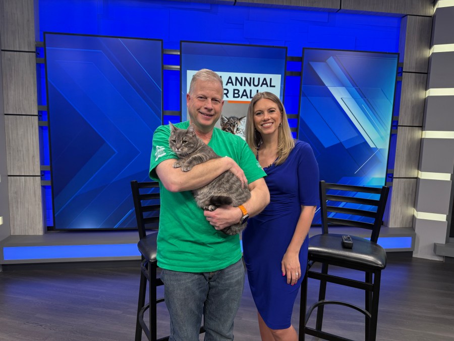 Morris Animal Refuge hosts 28th Annual Fur Ball