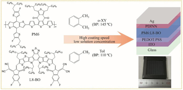 Green solvent innovation: High-speed doctor-blading boosts organic solar cell efficiency