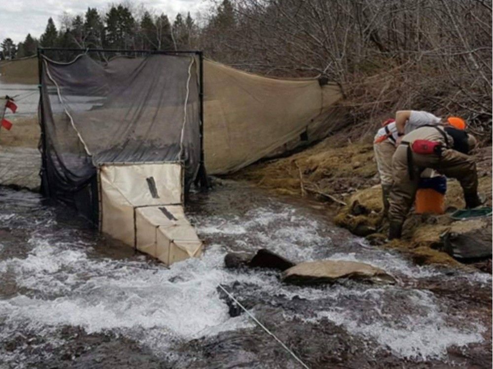 DFO claims it can and will enforce law on First Nations fishers