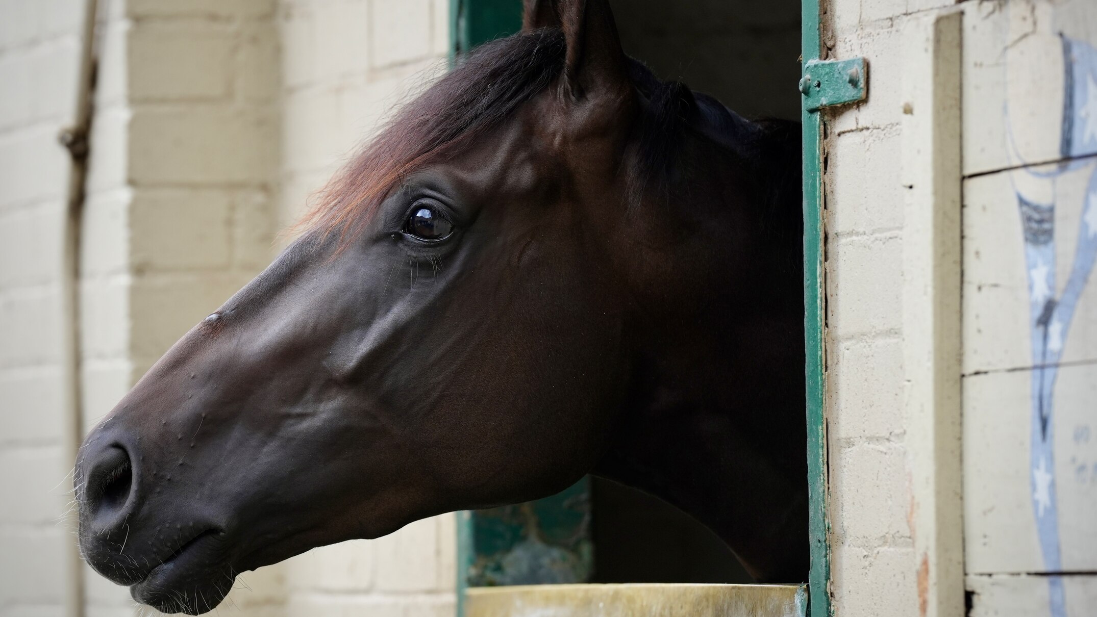 How Rosehill Gardens Racecourse housing deal turned into a classic ...