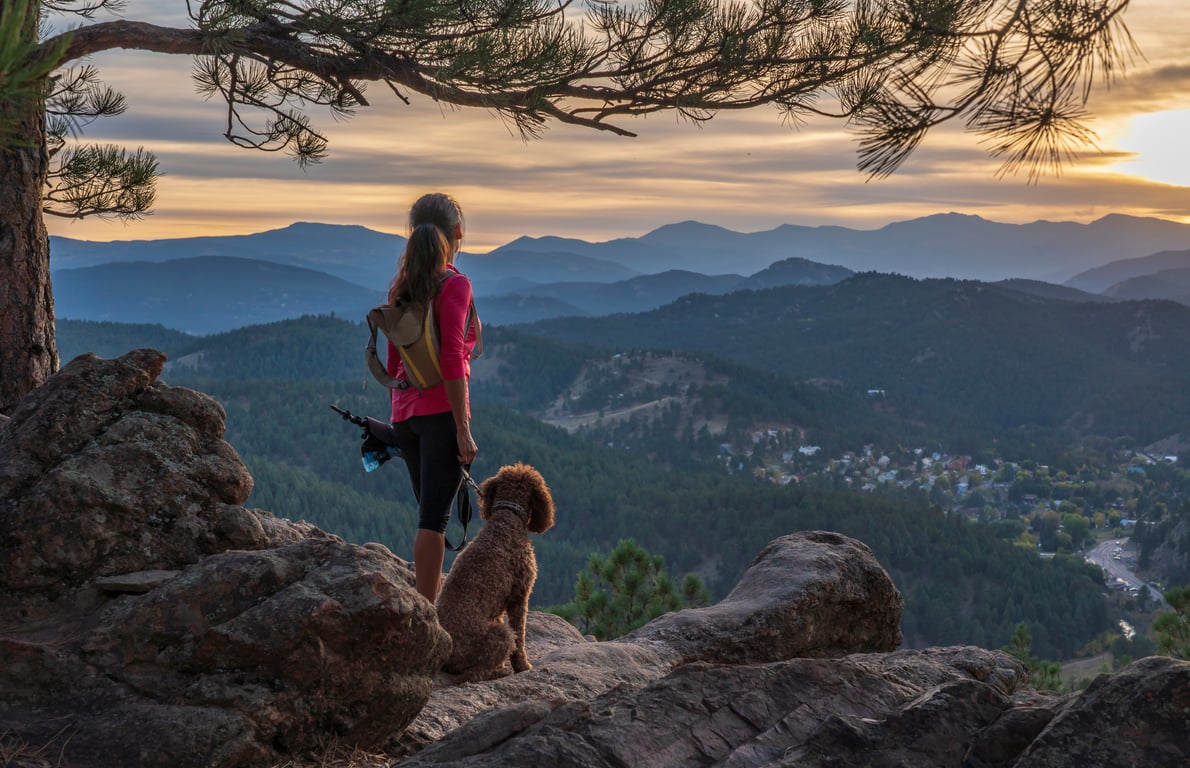 The 5 most popular national parks in America — and the least popular