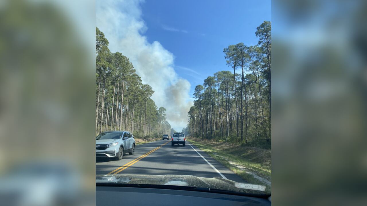 Nearly 7-acre Horry County wildfire 100% contained, SCFC says