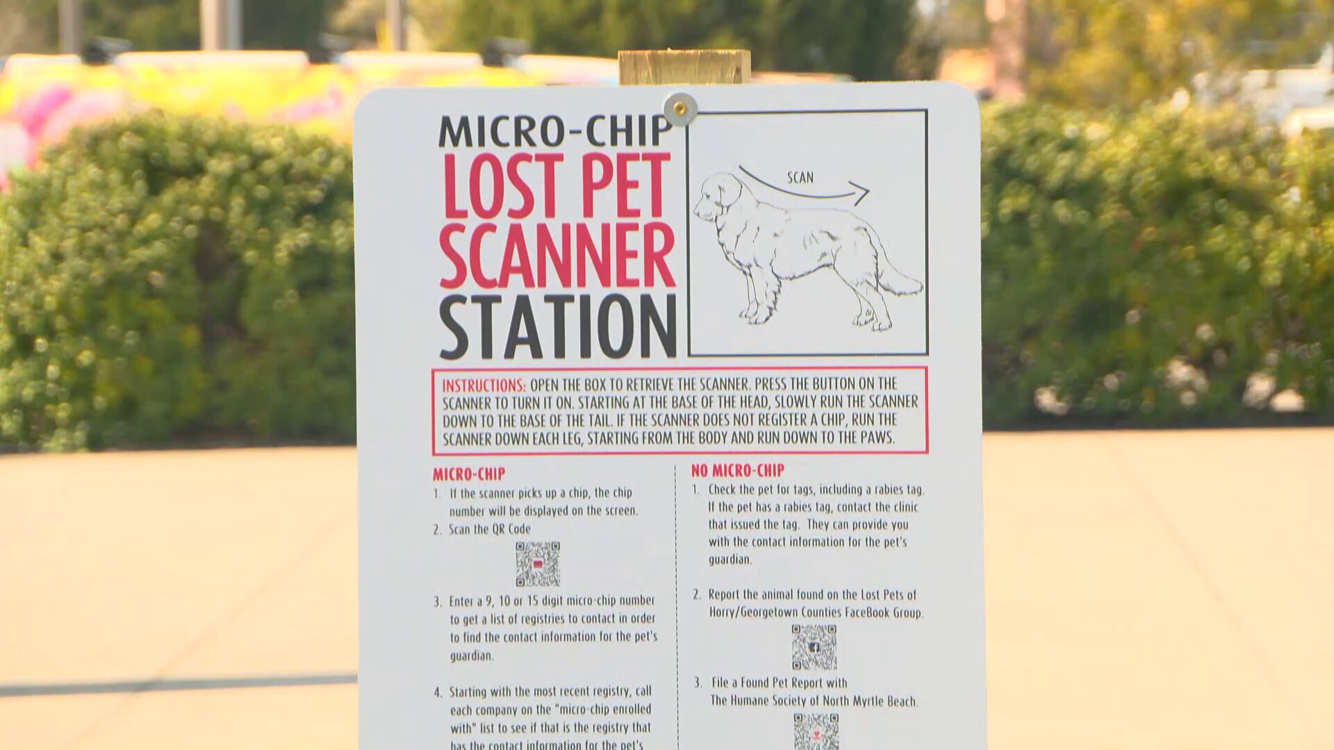 New scanner station in Horry County aims to help reunite lost pets with ...
