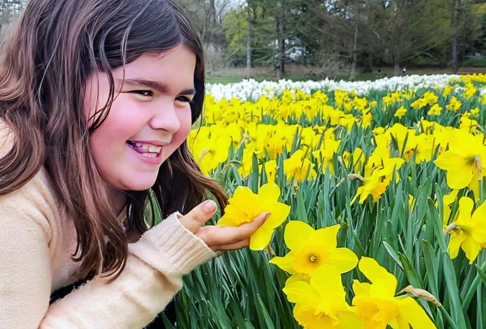 Best Spring Festivals and Fairs in Connecticut for Kids and Families