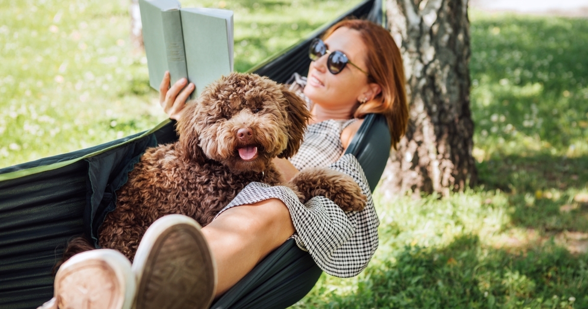 Liebst du deinen Hund mehr als Menschen? Hier sind 13 Anzeichen!