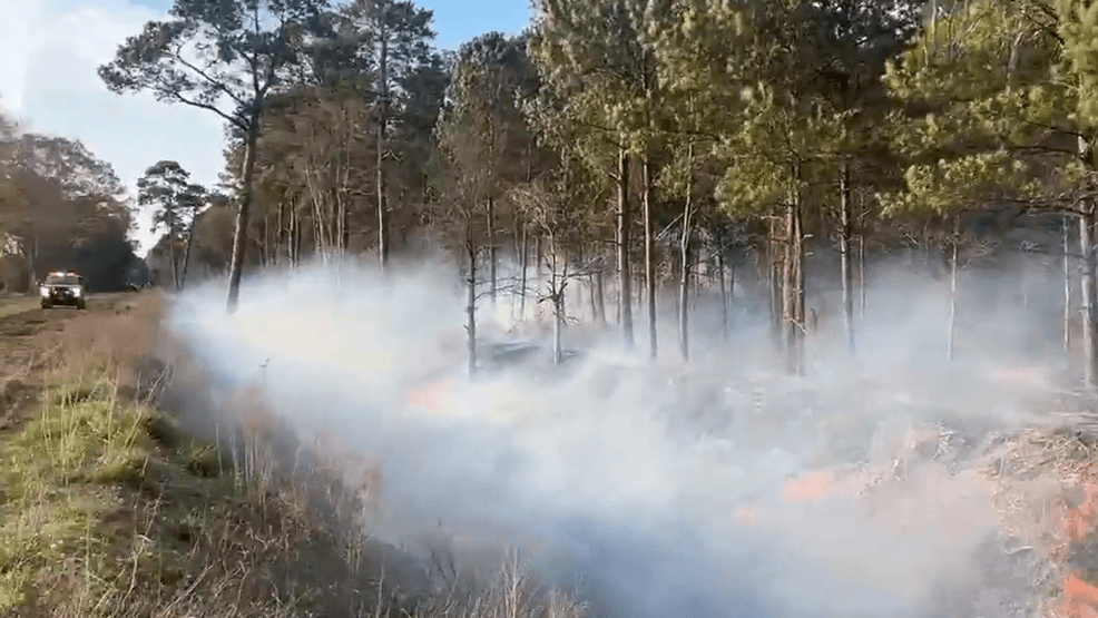 100% contained: Middle Ridge Ave. reopens near West Perry Rd. fire