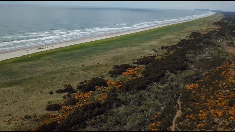 Exploring Oregon's trails: Retracing the steps of iconic explorers