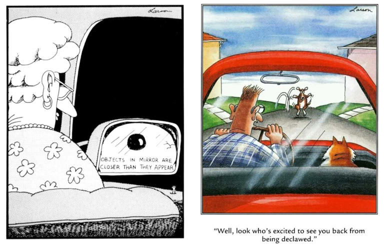 10 Funniest Far Side Comics That Will Make You Fear Your Own Car