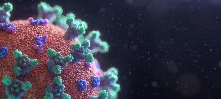 The Left's Imaginary COVID 'Reckoning'