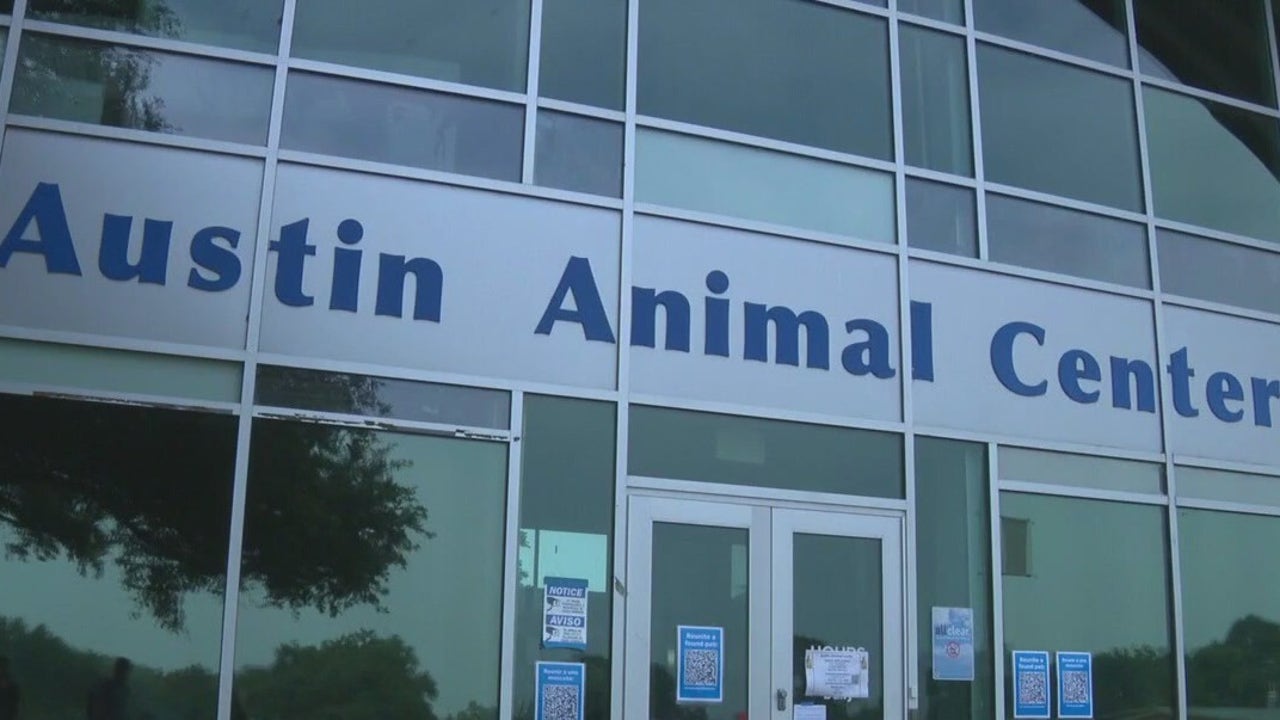 Austin Animal Center makes changes to management system years after ...