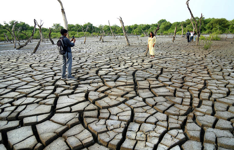 Dry & wry: 'Droughtscape' in Kochi's mangrove ecosystem?
