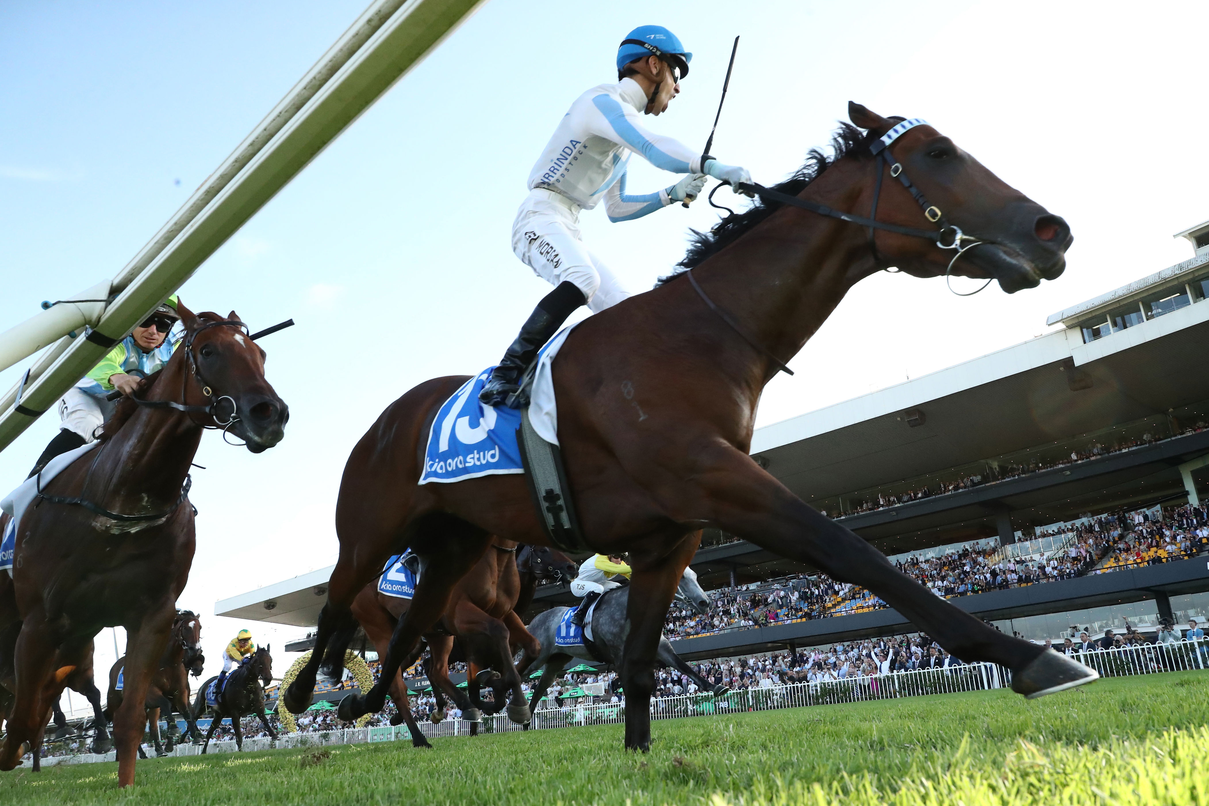 'Madness': Icon slams call to cancel races at Rosehill