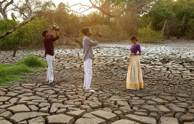 Dry & wry: 'Droughtscape' in Kochi's mangrove ecosystem?