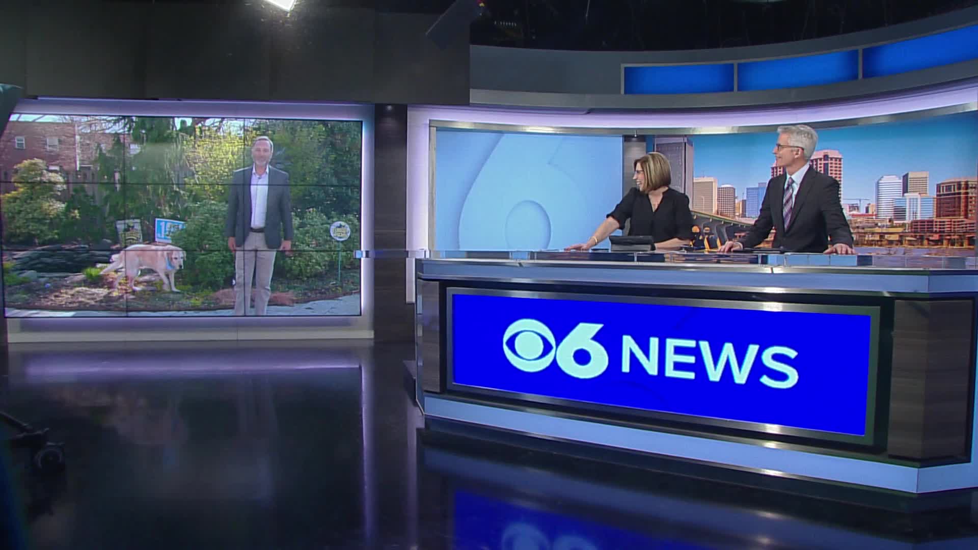 Walter the Weather Dog returns to CBS 6 after surgery