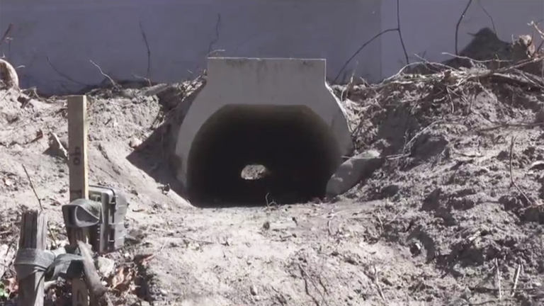 Long Island town constructs "Frog Hollow Tunnel" to save amphibians