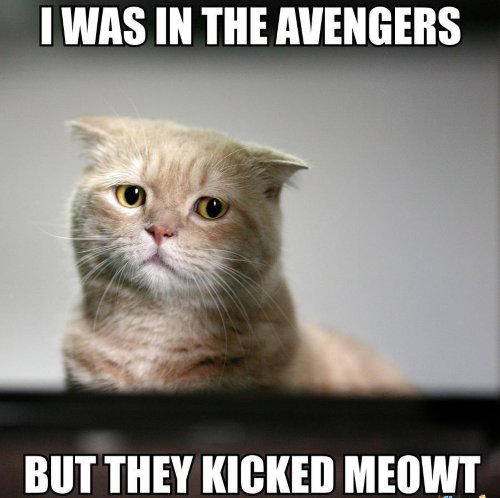 25 of the Saddest Cat Memes That Will Actually Make You Laugh
