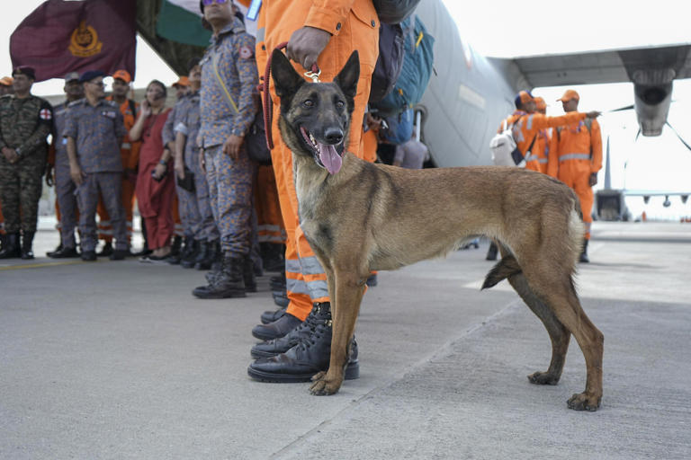 Two Indian naval ships on way to Myanmar, field hospital to be airlifted: MEA on 'Operation Brahma'