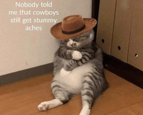 25 of the Saddest Cat Memes That Will Actually Make You Laugh