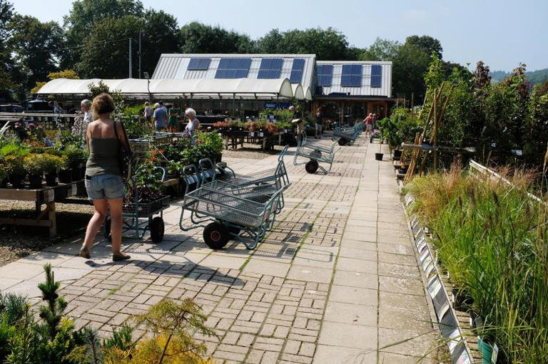 Garden centres in and around Bristol to visit this summer