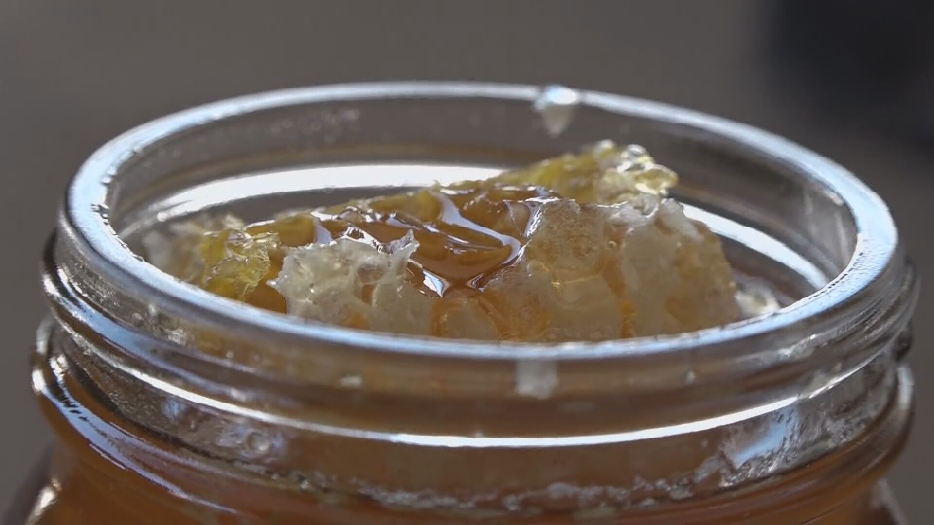 Alabama Beekeepers voice support for Tuberville’s Honey Integrity Act