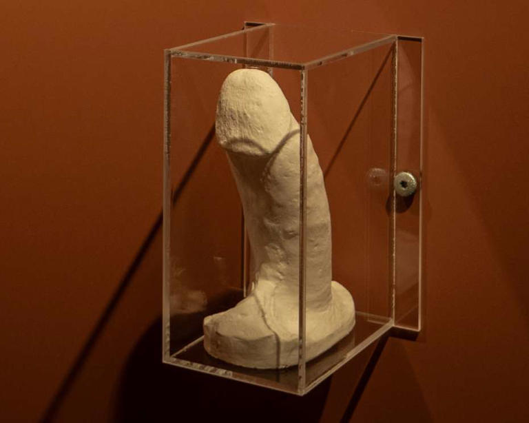 Road Trip: The Icelandic Phallological Museum