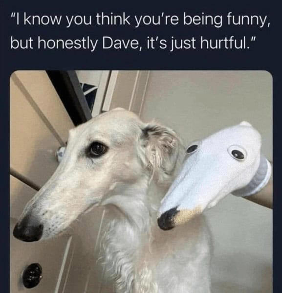 48 Funny Dog Memes That’ll Have You Howling With Laughter (March 29, 2025)