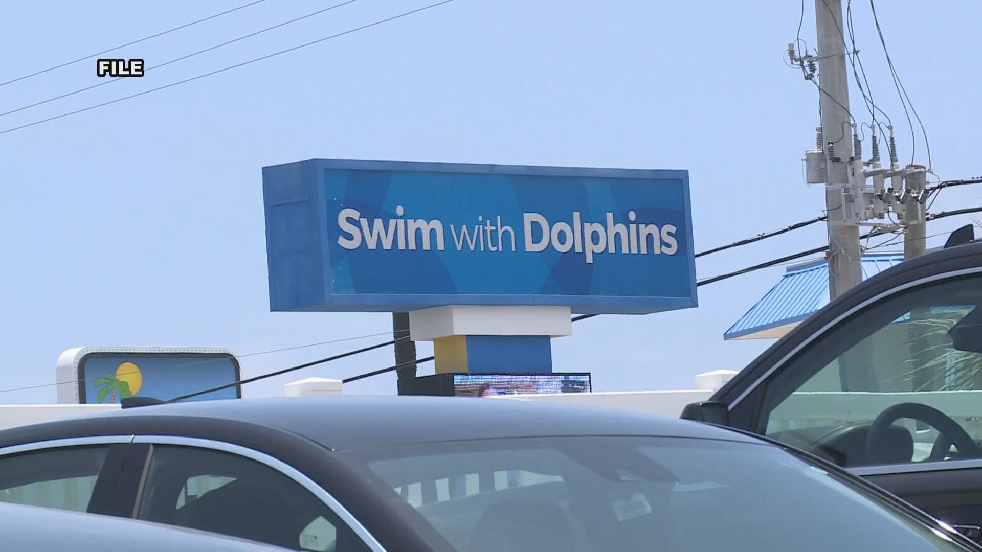 Investigation into Gulf World Marine Park ongoing, nearby nonprofit ...