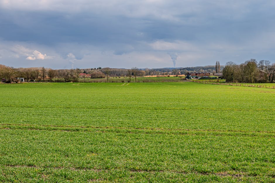 Climate Myths Uncovered: Facts Everyone Should Know