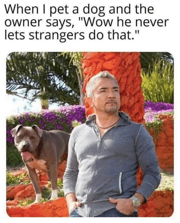 48 Funny Dog Memes That’ll Have You Howling With Laughter (March 29, 2025)