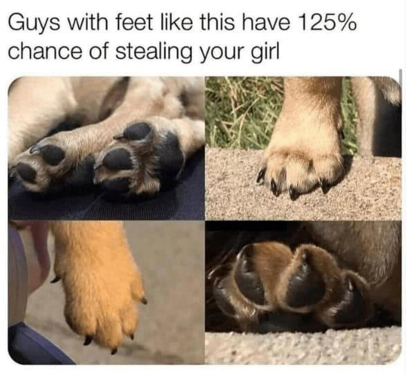 48 Funny Dog Memes That’ll Have You Howling With Laughter (March 29, 2025)