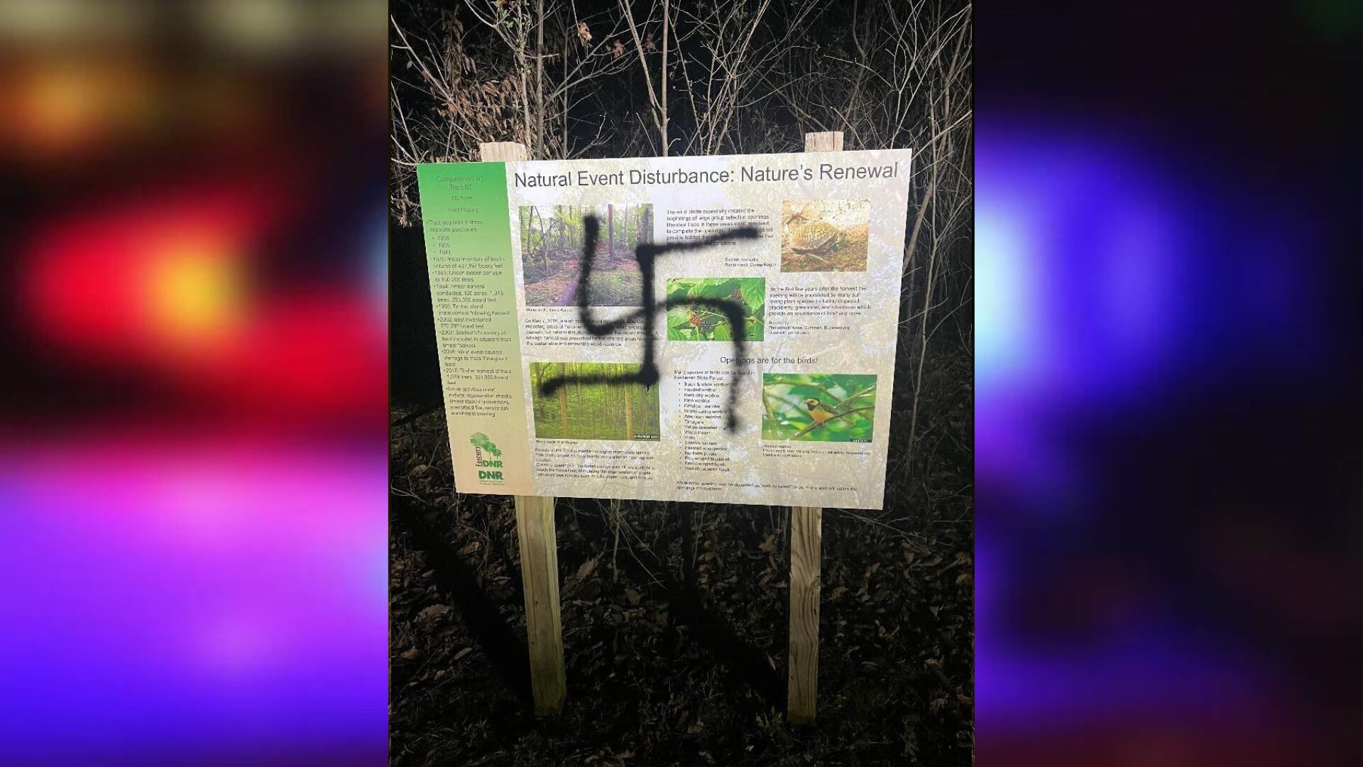 Investigation into Nazi themed vandalism