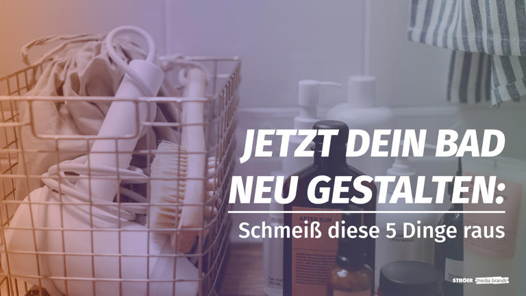 Von wegen selten: Dieses Insekt taucht jetzt in fast jeder Wohnung auf