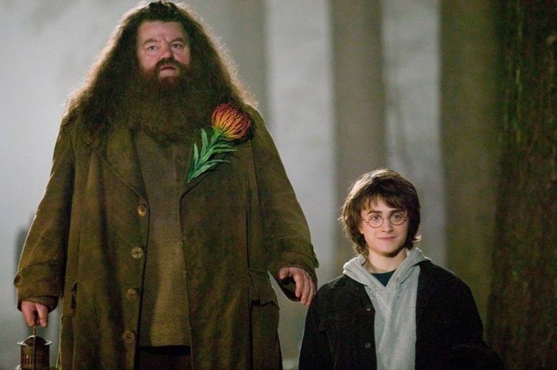 HBO confirm Harry Potter TV series cast with Oscar winner as Dumbledore
