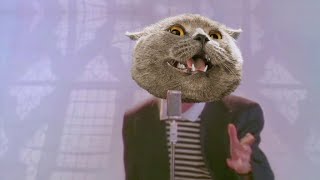 A Cat’s Version of the Classic Rick Roll Surprise