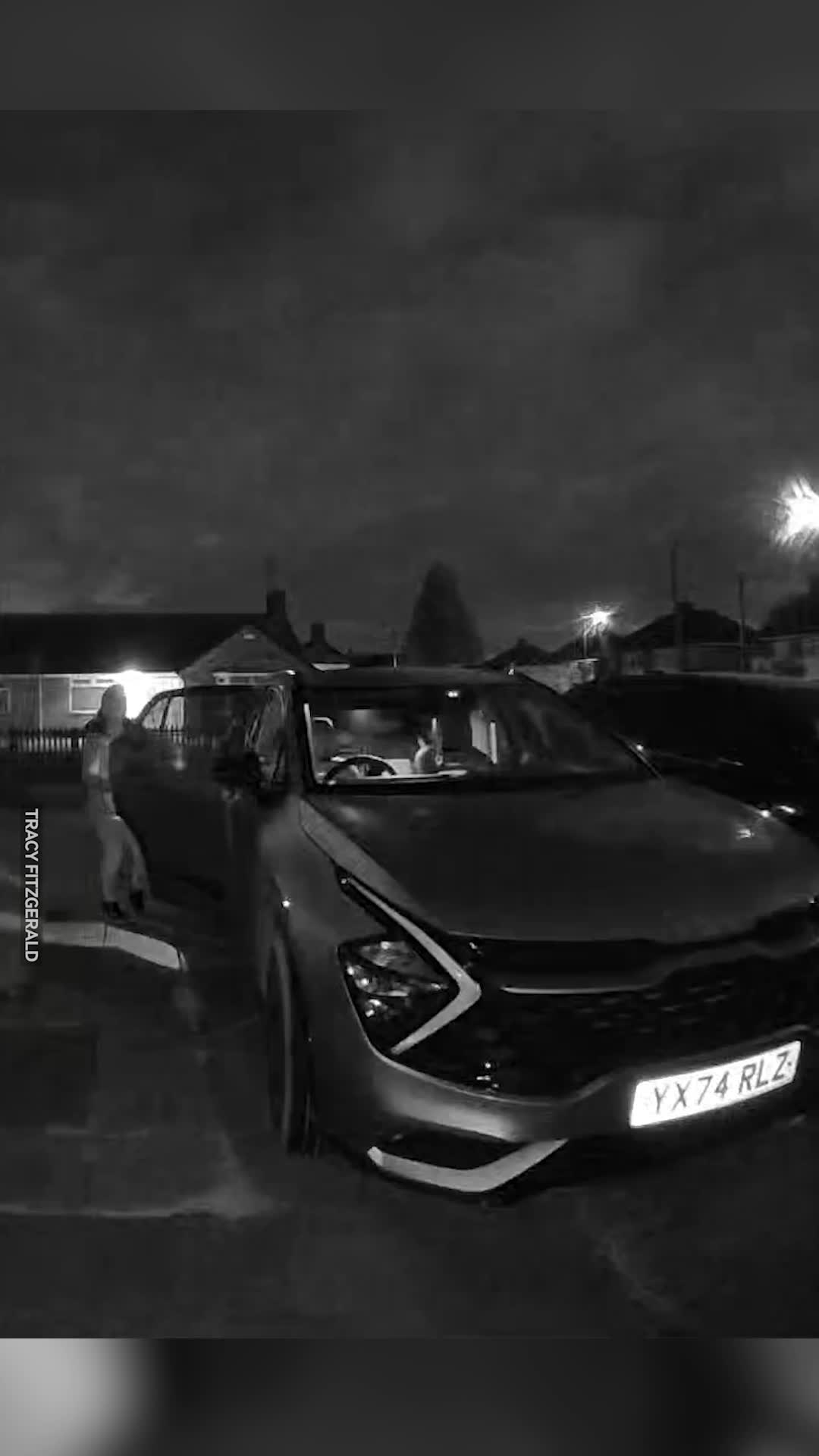 Confused Labrador Hilariously Jumps Onto Car Bonnet Instead of Boot