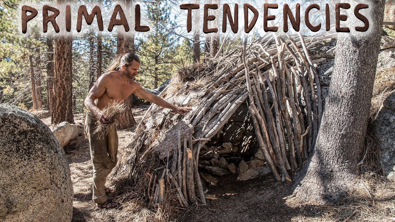 Primitive Emergency Survival Shelter in the Mountains