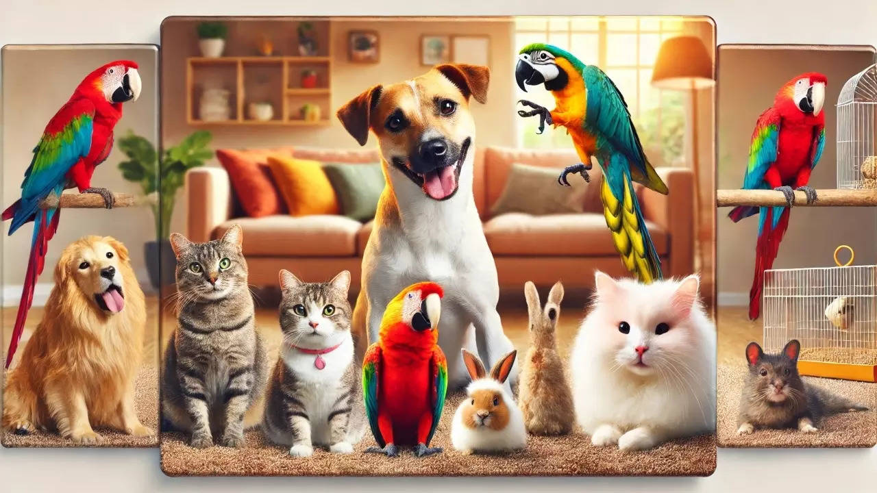 If zodiac signs were random pets