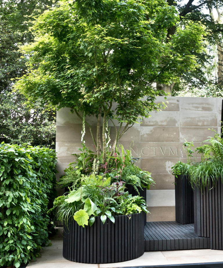 The 10-minute backyard: Design rules that keep maintenance to a bare ...