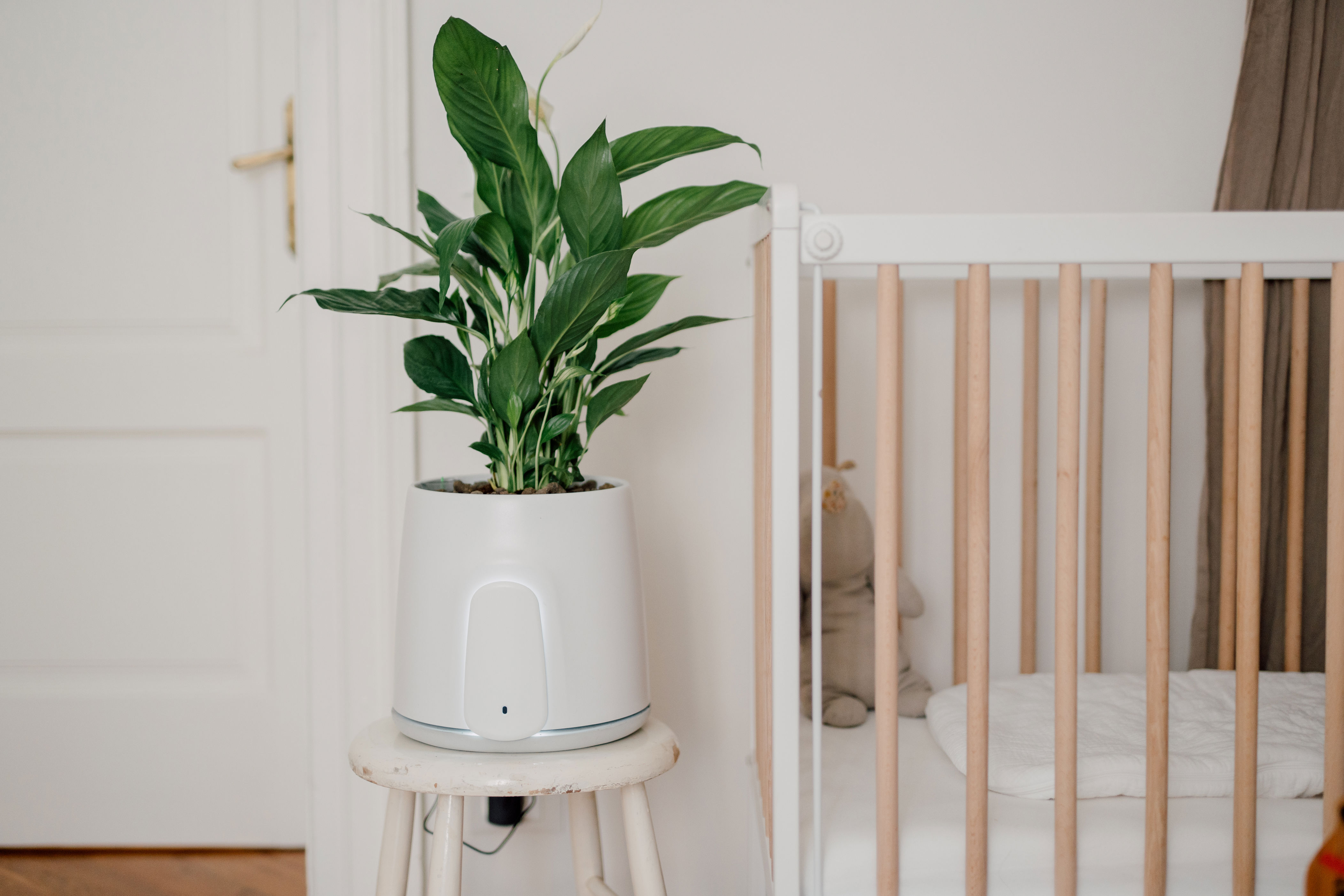 We test a smart plant pot that purifies the air in your house