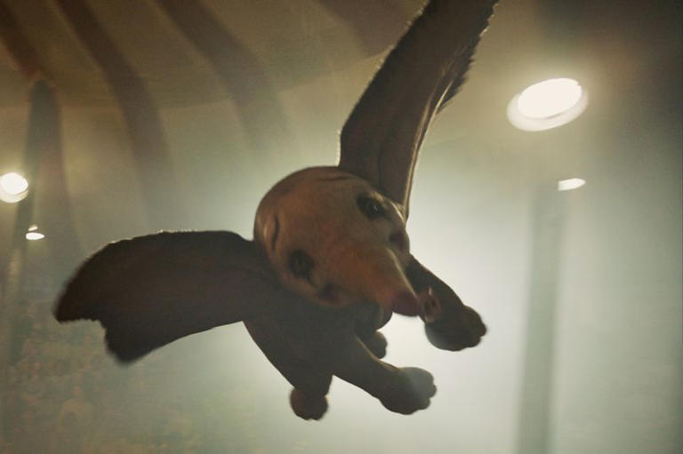 Disney's 'freaky nightmare fuel' Dumbo is way darker than any horror movie