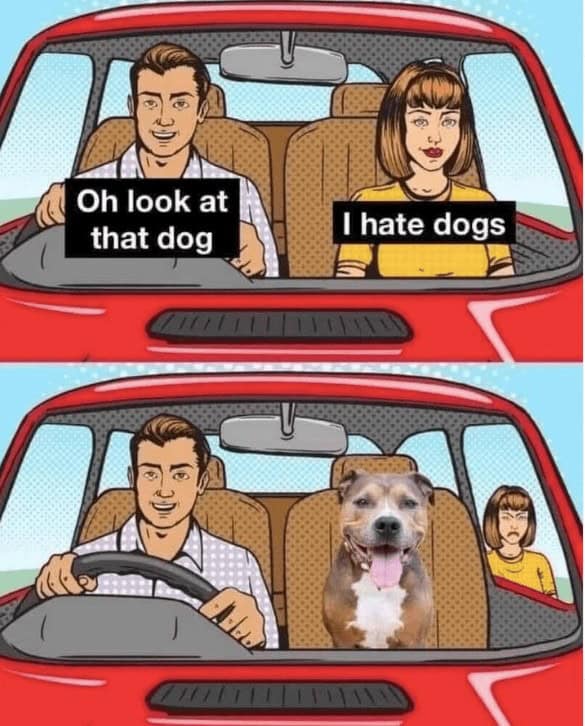 48 Funny Dog Memes That’ll Have You Howling With Laughter (March 29, 2025)