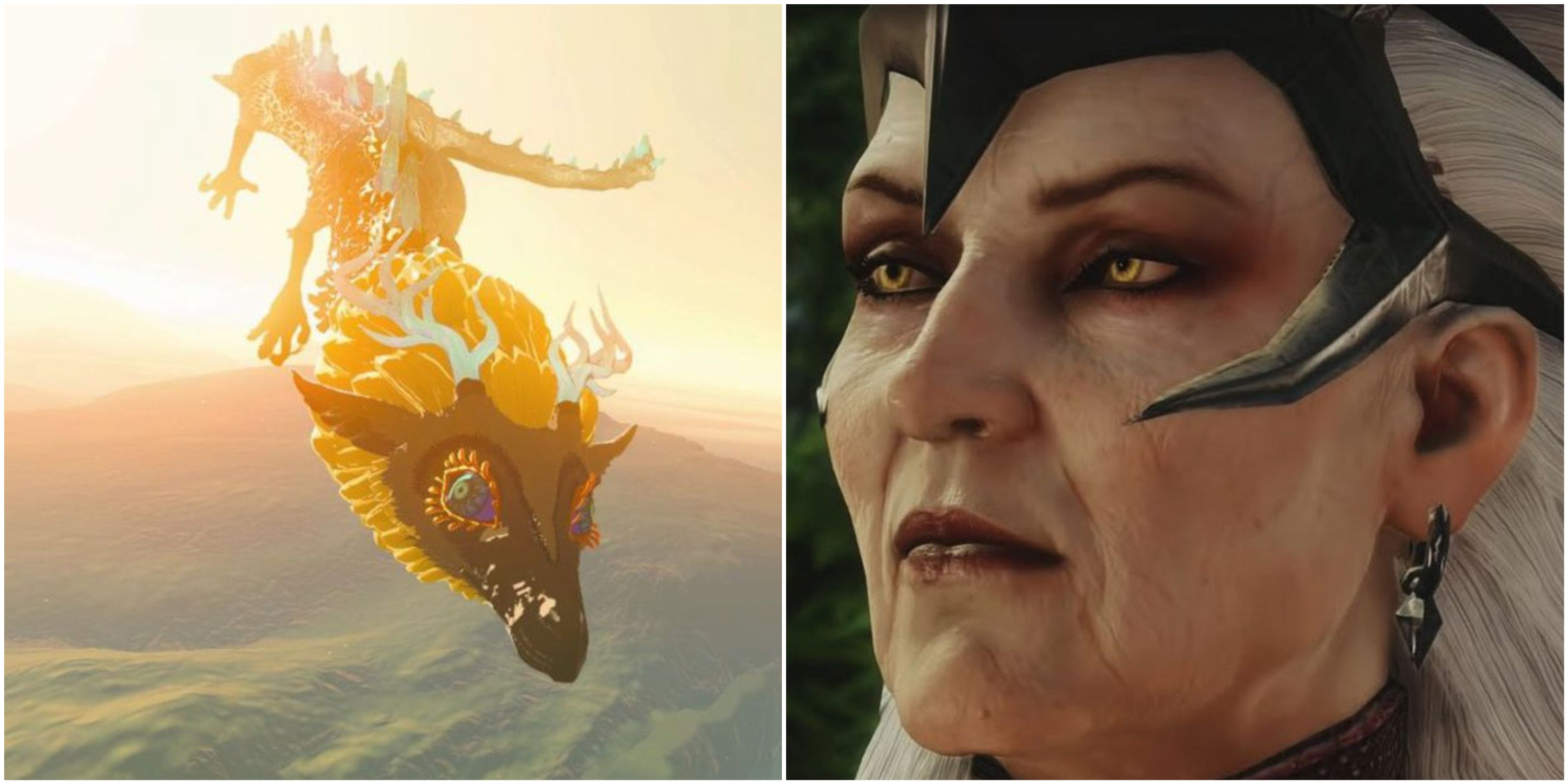 Best Female Dragons In Video Games, Ranked