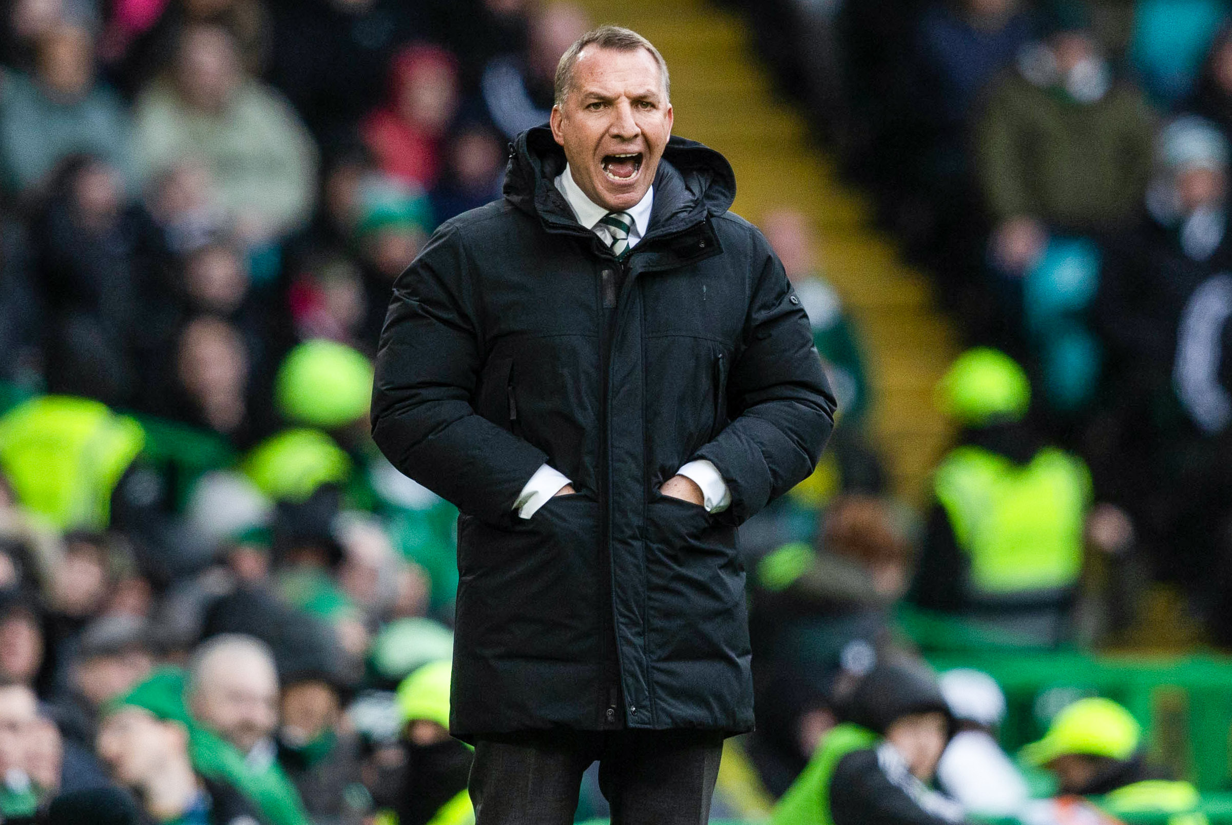 What 10 Hibs opponents have said about David Gray and team as rival ...