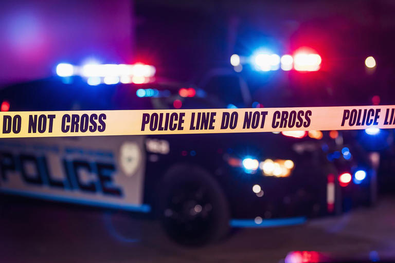 Inside the ‘Very Bizarre’ Case of a Mom’s Alleged Hit-and-Run Spree ...