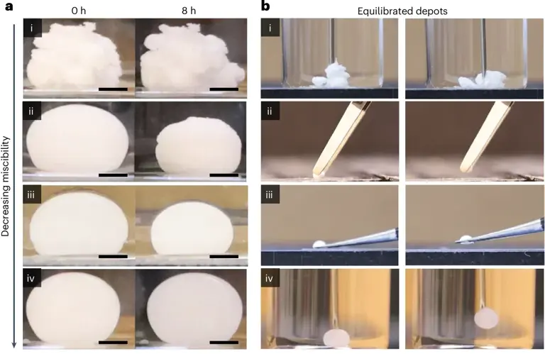 Tiny crystals offer long-lasting drug delivery without the pain