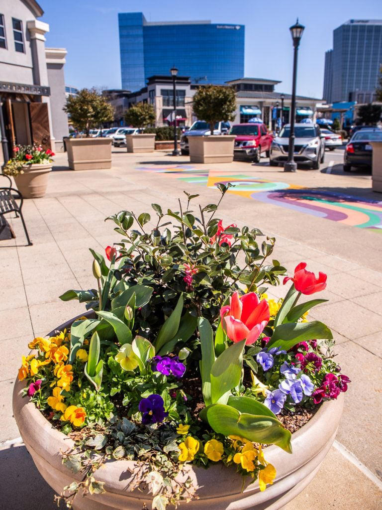 A Travel Guide to North Hills: Top Spots to Eat, Play, and Stay