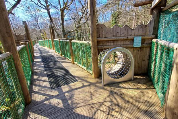 Behind the scenes: A sneak peek inside Robin Hill just days before ...