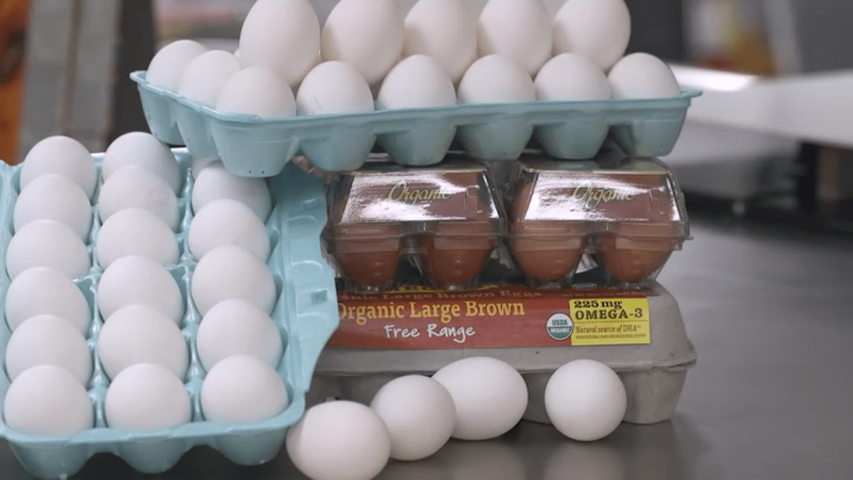 Cracking the code on egg labels