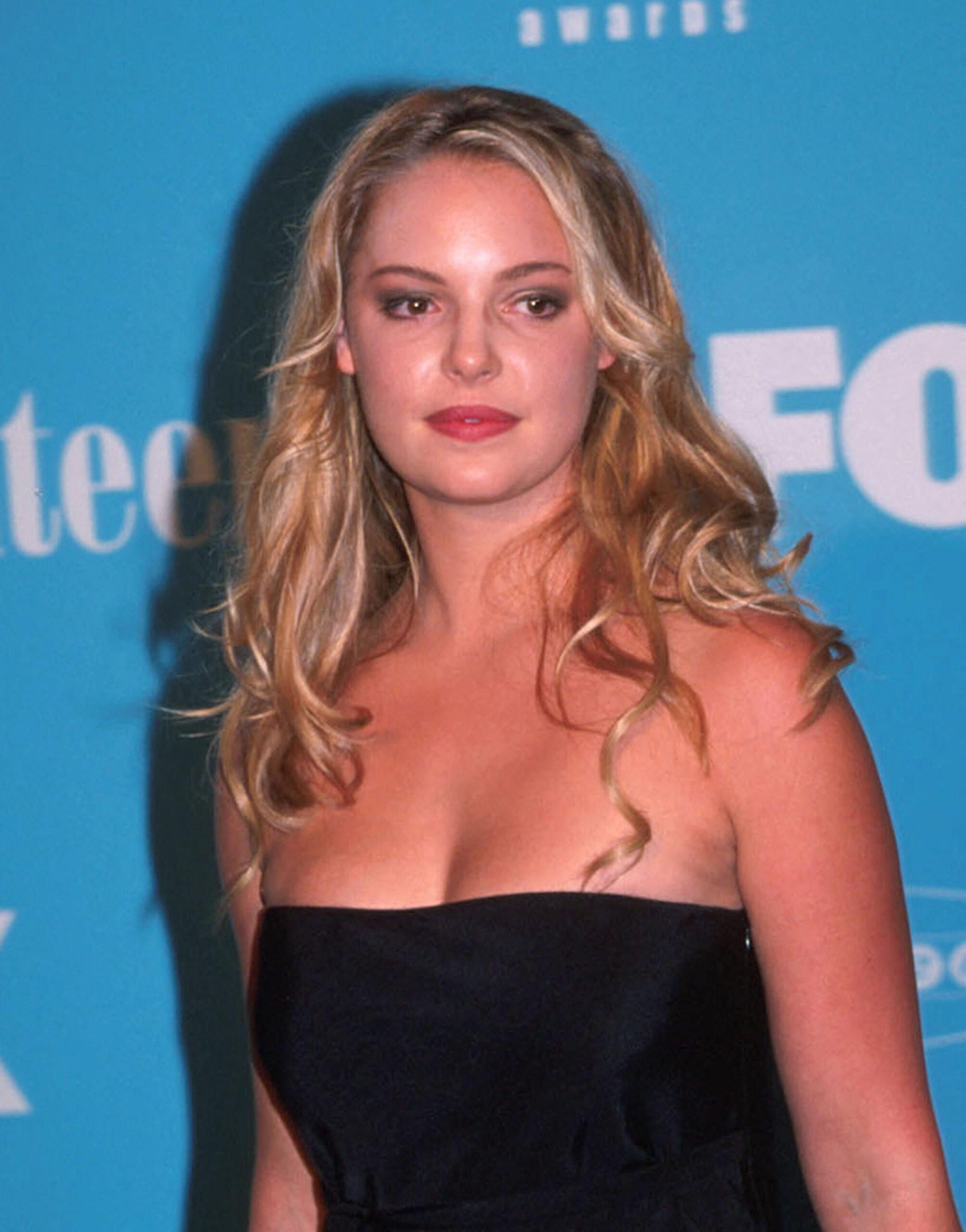 ‘Grey’s Anatomy’ Star Katherine Heigl's Unpaid Services Court Battle ...